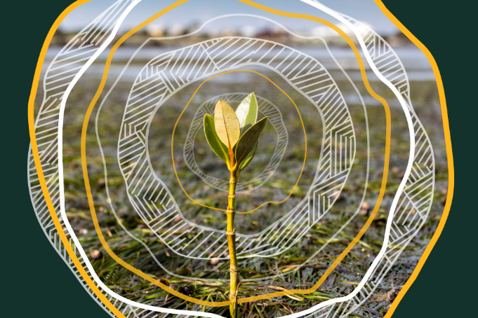 Nature Positive Legislation – What is it? Where did it go? And does it ...